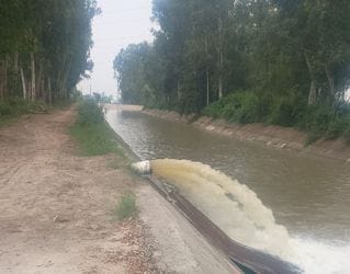 The Youth Took Charge, The Rain Water Of Bhaini Surjan Started Receding ...