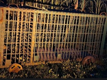 Fear Of Wild Animal In Sotia, Cage Installed - Gonda News - Gonda News ...