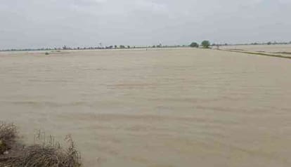Heavy Rain In Meham Increased The Problem Of Waterlogging - Rohtak News ...