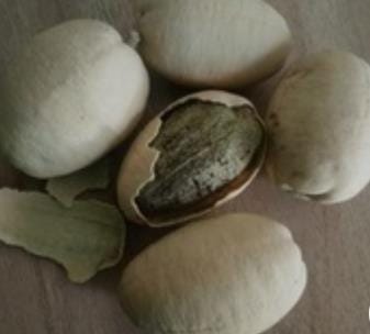 Medicinal oil accelerates healing of complex diabetic wounds | News ...