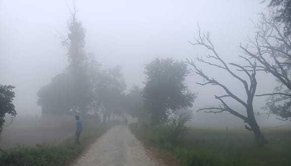 Bihar Weather News:पटना समेत कई जिलों में घना कोहरा, कनकनी भी बढ़ी ...