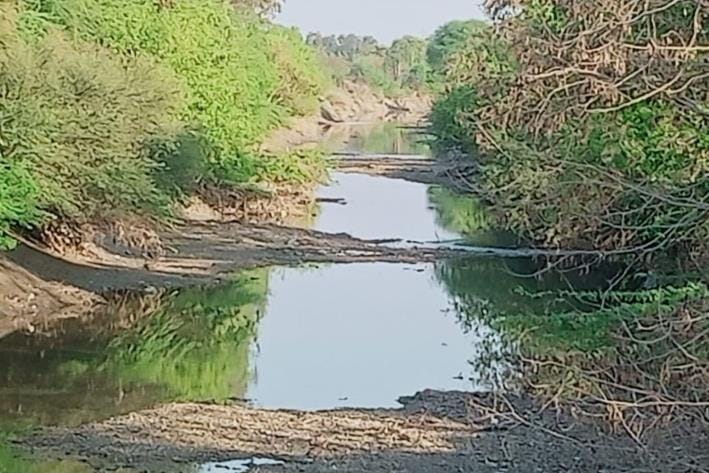 Water From Canals, Fertilizer From Committees Missing, Farmers ...
