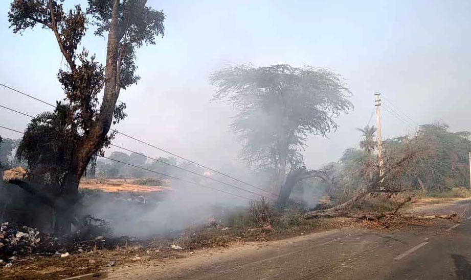 A Tree Fell Due To Burning Garbage, A Young Man Riding A Bike Was ...
