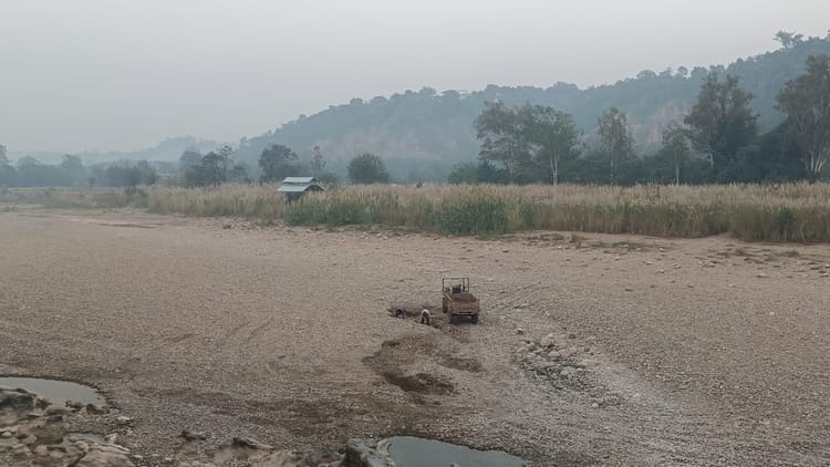 Mafia Razing The Mountains, Digging Holes Up To 10 Feet Deep In The ...