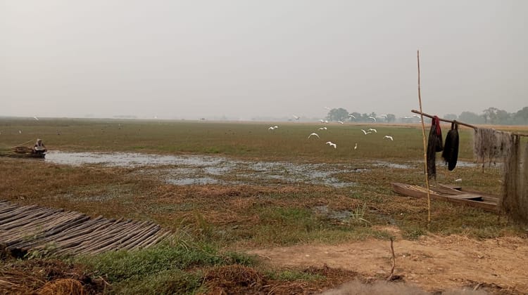 Birds Arrived From Thousands Of Kilometers Away, Alwar Lake Is Blooming ...