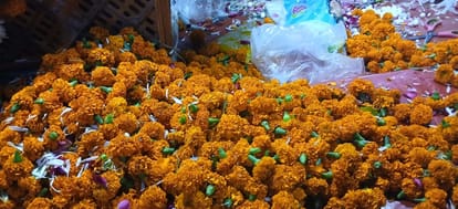 Prices Have Risen, The Scent Of Marigolds Has Become More Expensive ...