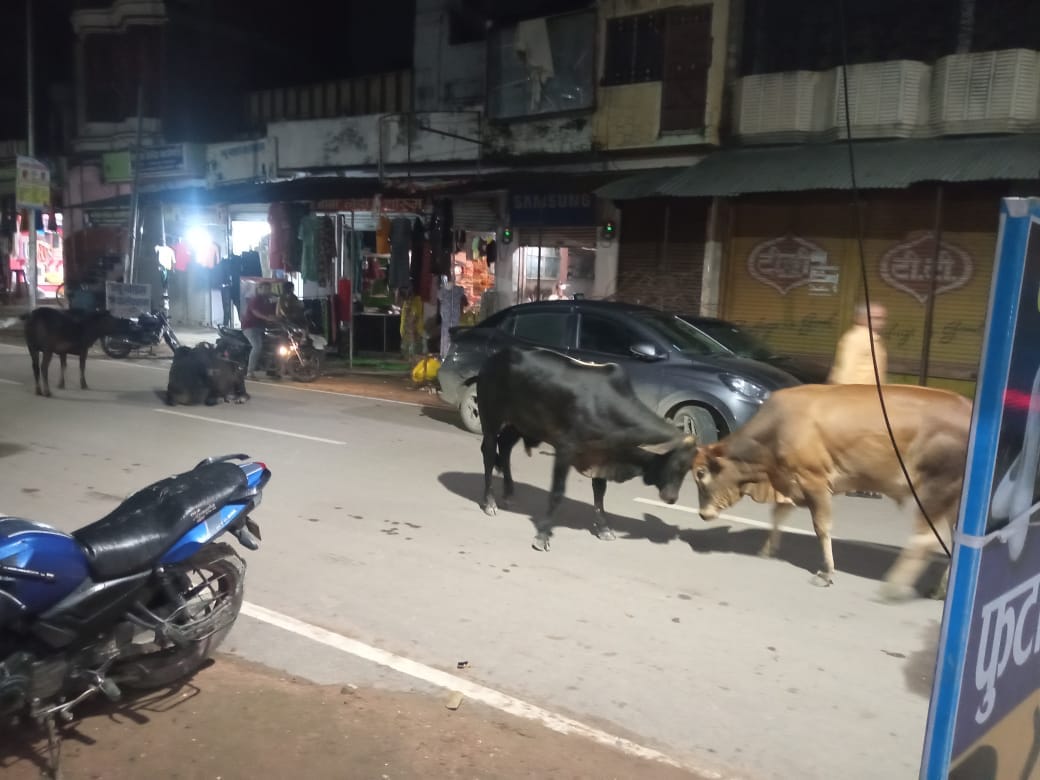 Severe Cold Disrupts Life, Number Of Patients Rises - Kaushambi News ...