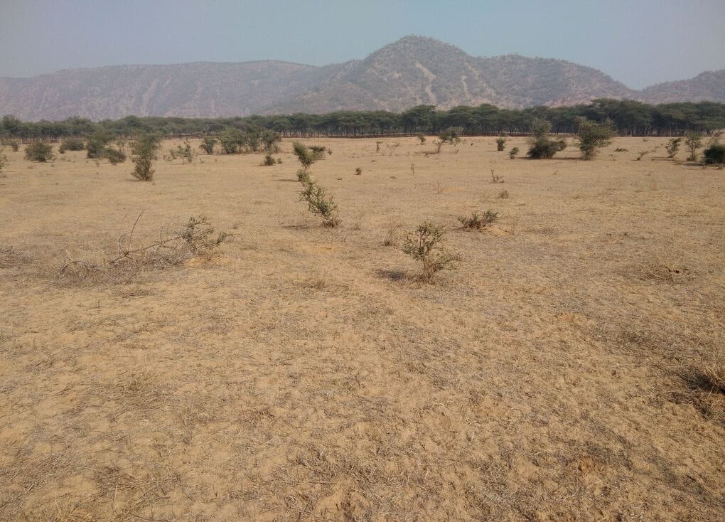 The Mp Wrote A Letter To The Chief Minister's Principal Secretary ...