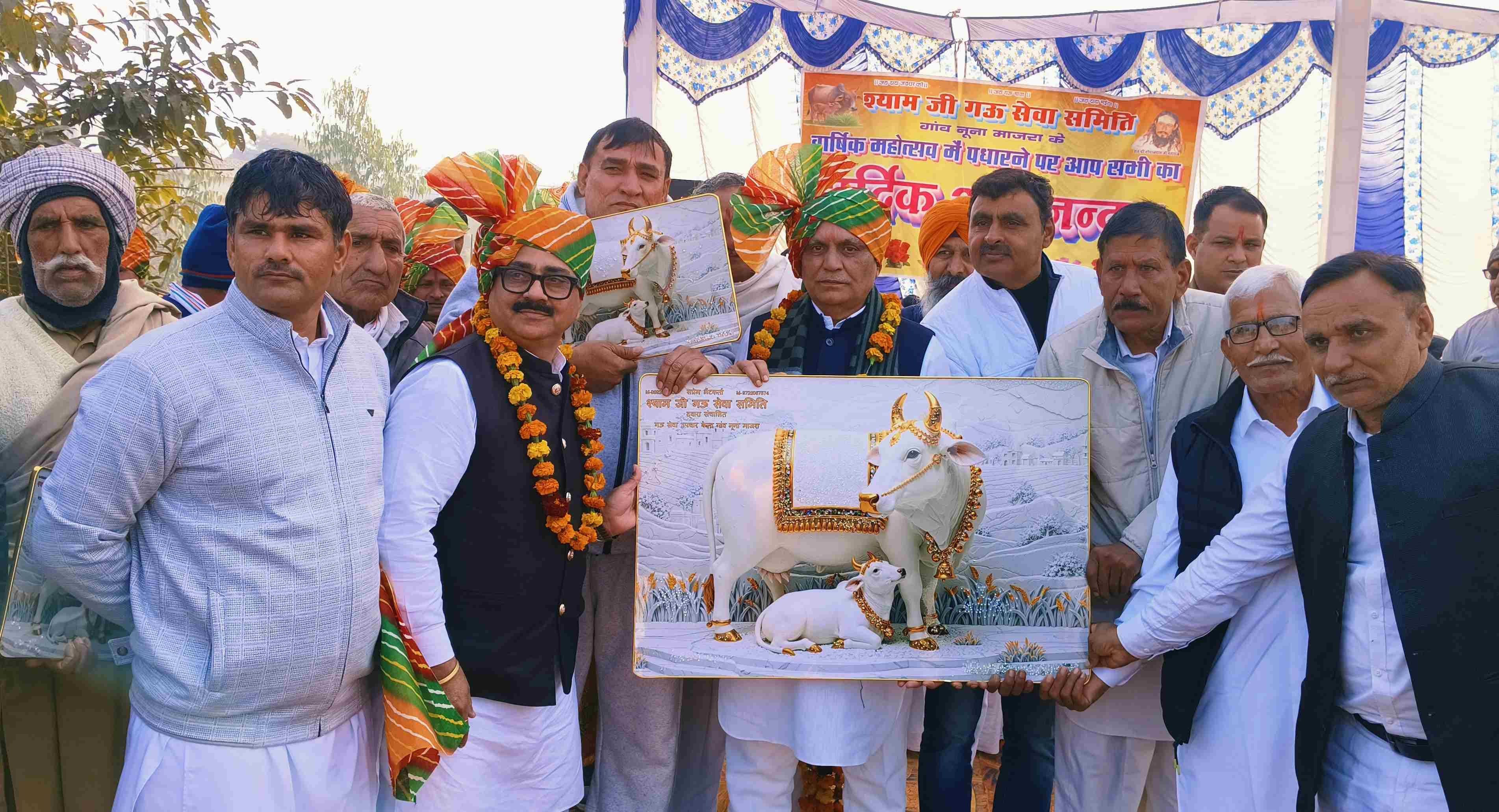 Serving Cows Is True Service To Humanity: June - Jhajjar/bahadurgarh ...