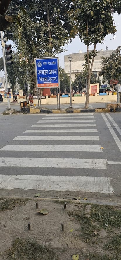 Zebra Crossing Is Wrong, Rules Have To Be Broken To Cross The Road ...