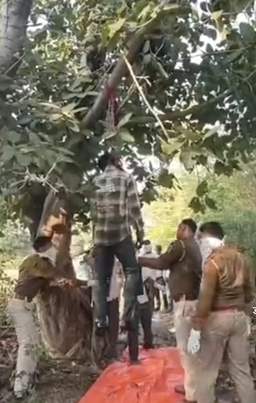 Bodies Of Minor Lovers Found Hanging From A Tree, Missing Since January ...