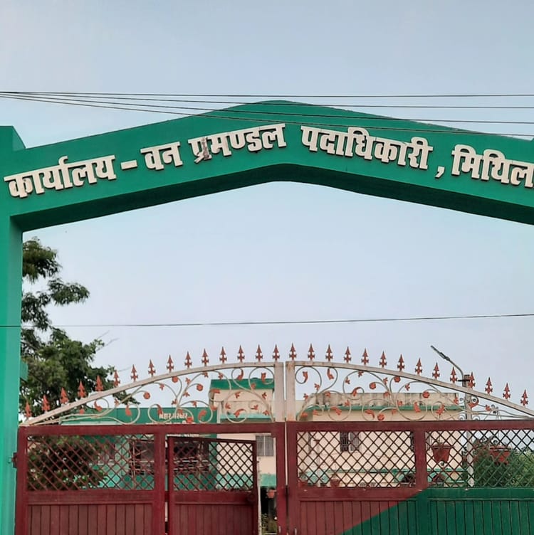 Four wildlife traffickers arrested in Darbhanga, Bihar, with deer and ...