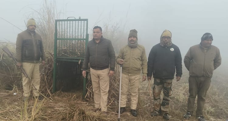 Father Of Child Killed In Leopard Attack Offered Watcher's Job ...