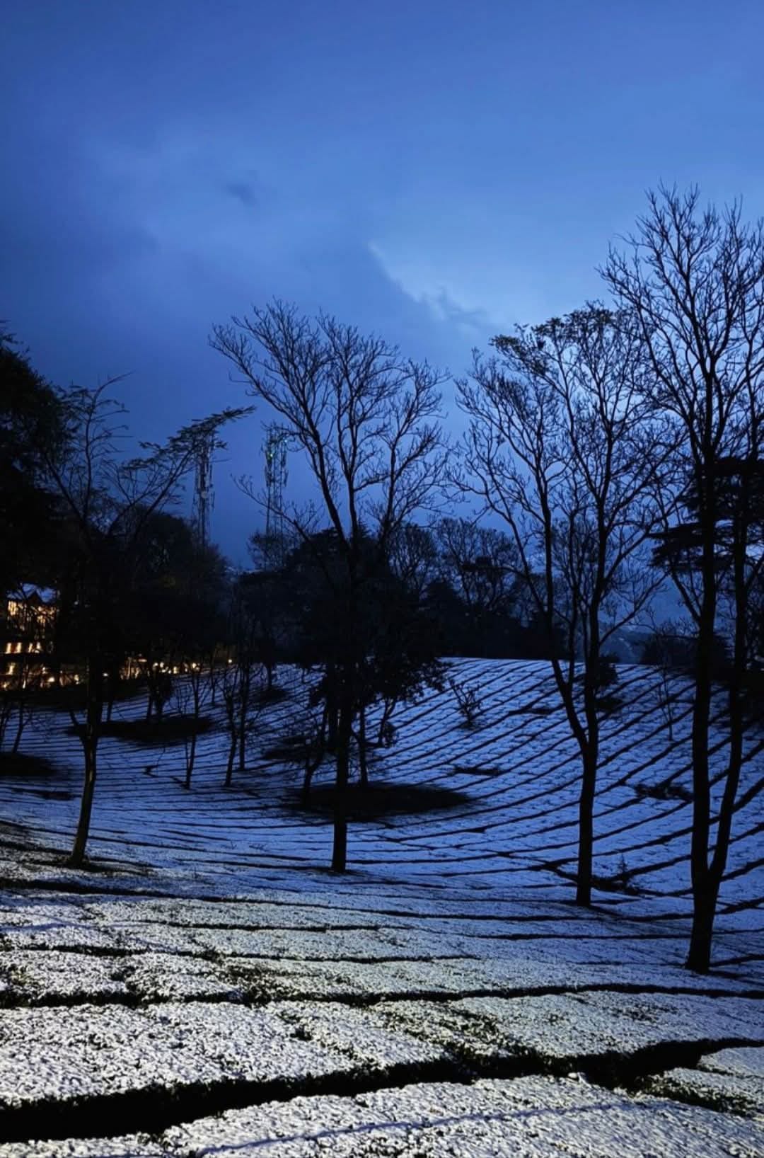 Faces Brighten After Snowfall In Palampur After 15 Years - Kangra News ...
