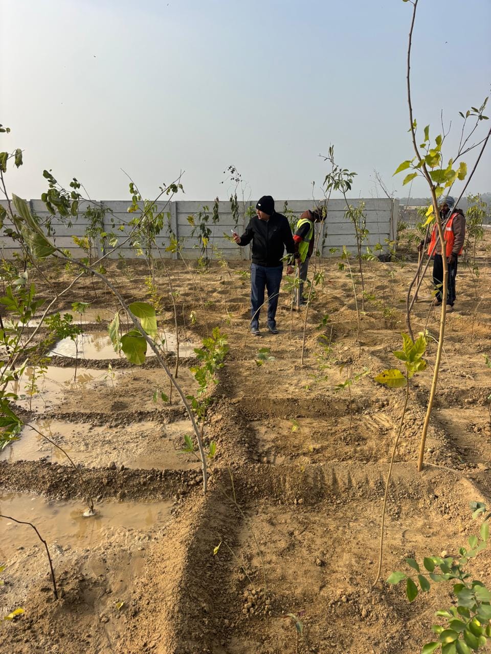 Dense Forest Will Be Developed In 16 Acres In Kuberpur, Pollution Will ...