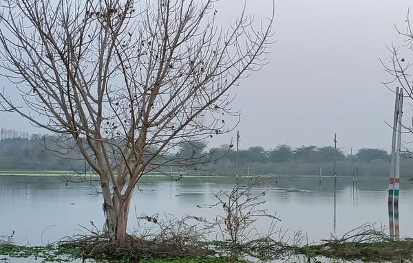 Dry Hope, Wet Ground... Dadi Gori Stadium Awaits Promising Talents ...