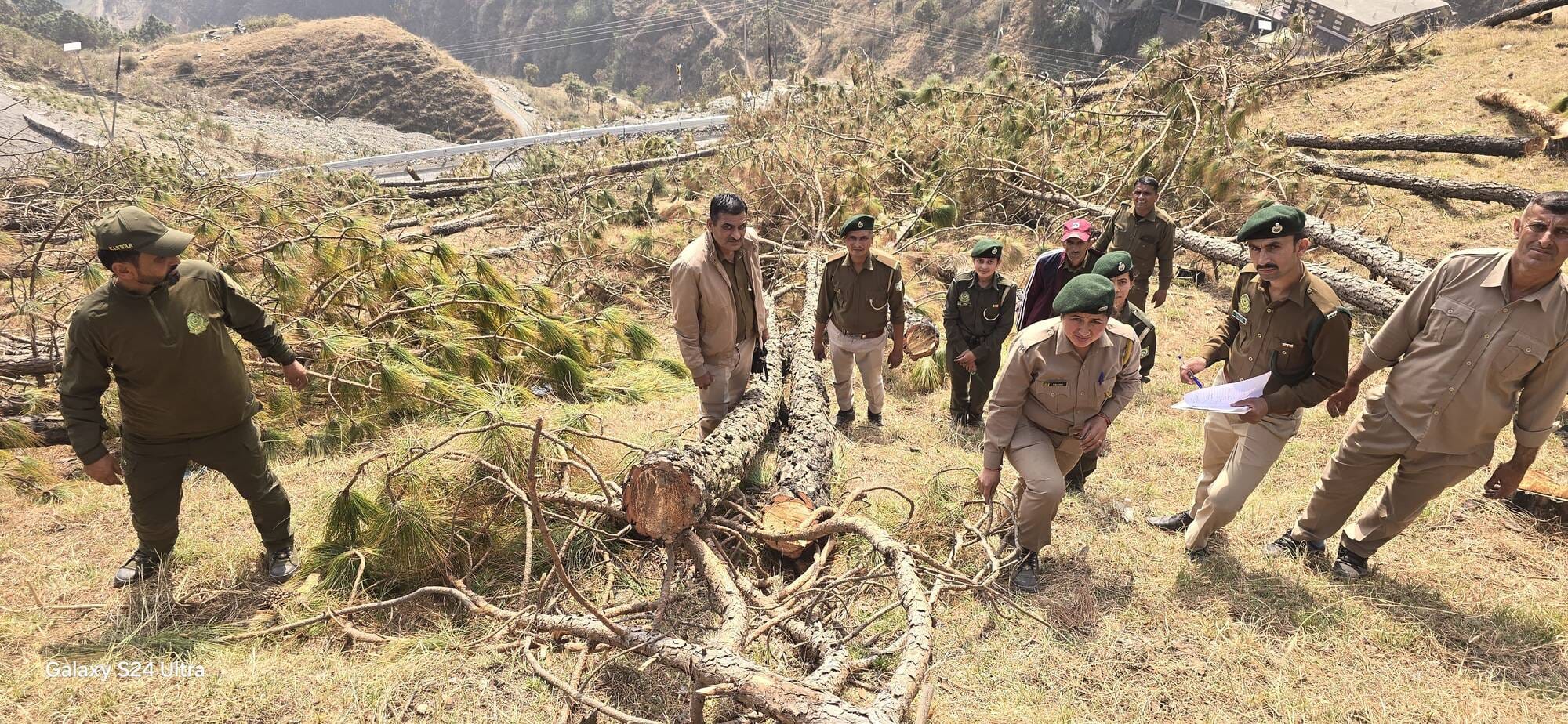 Fir Lodged Against Former Zila Parishad Member In Illegal Tree Felling ...