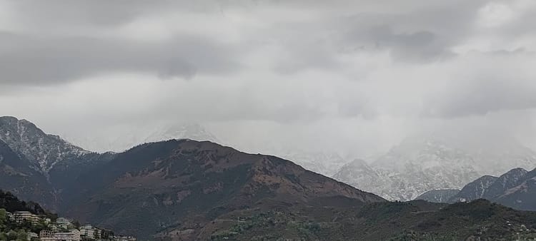 Fresh Snowfall On Dhauladhar Peaks, Drizzle In Lower Areas - Kangra ...