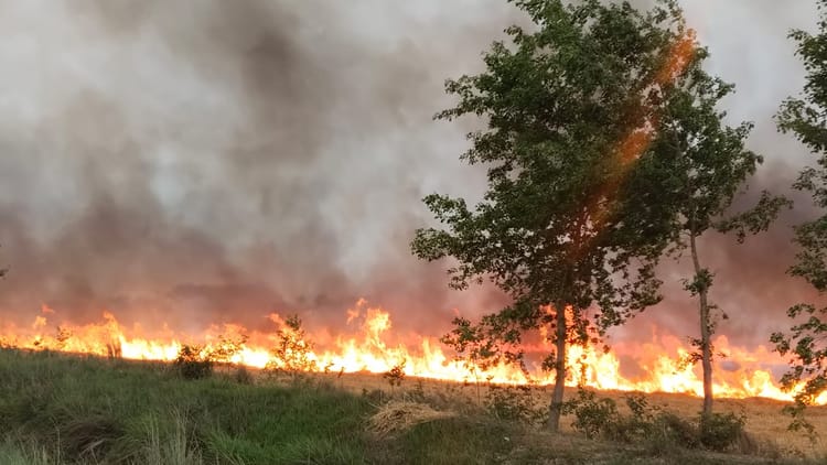 50 Bigha Crops Burnt To Ashes Due To Fire In Karmakhan, Karahi - Sant ...