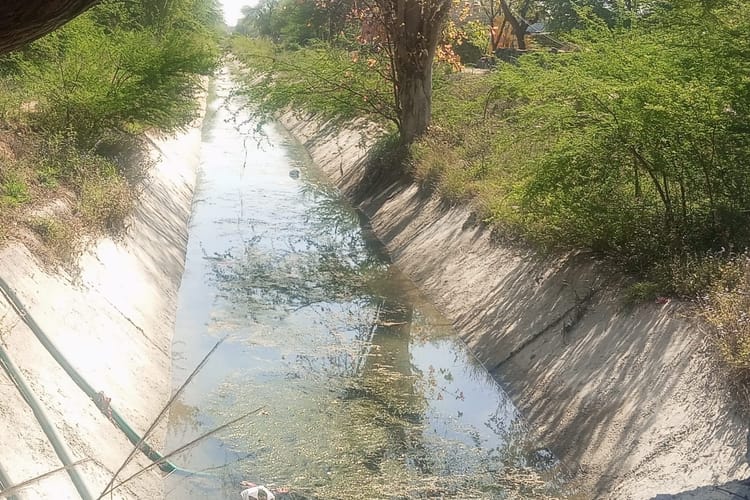 Canal Water Set To Reach Narnaul Today; Waterworks Currently Hold Ample ...