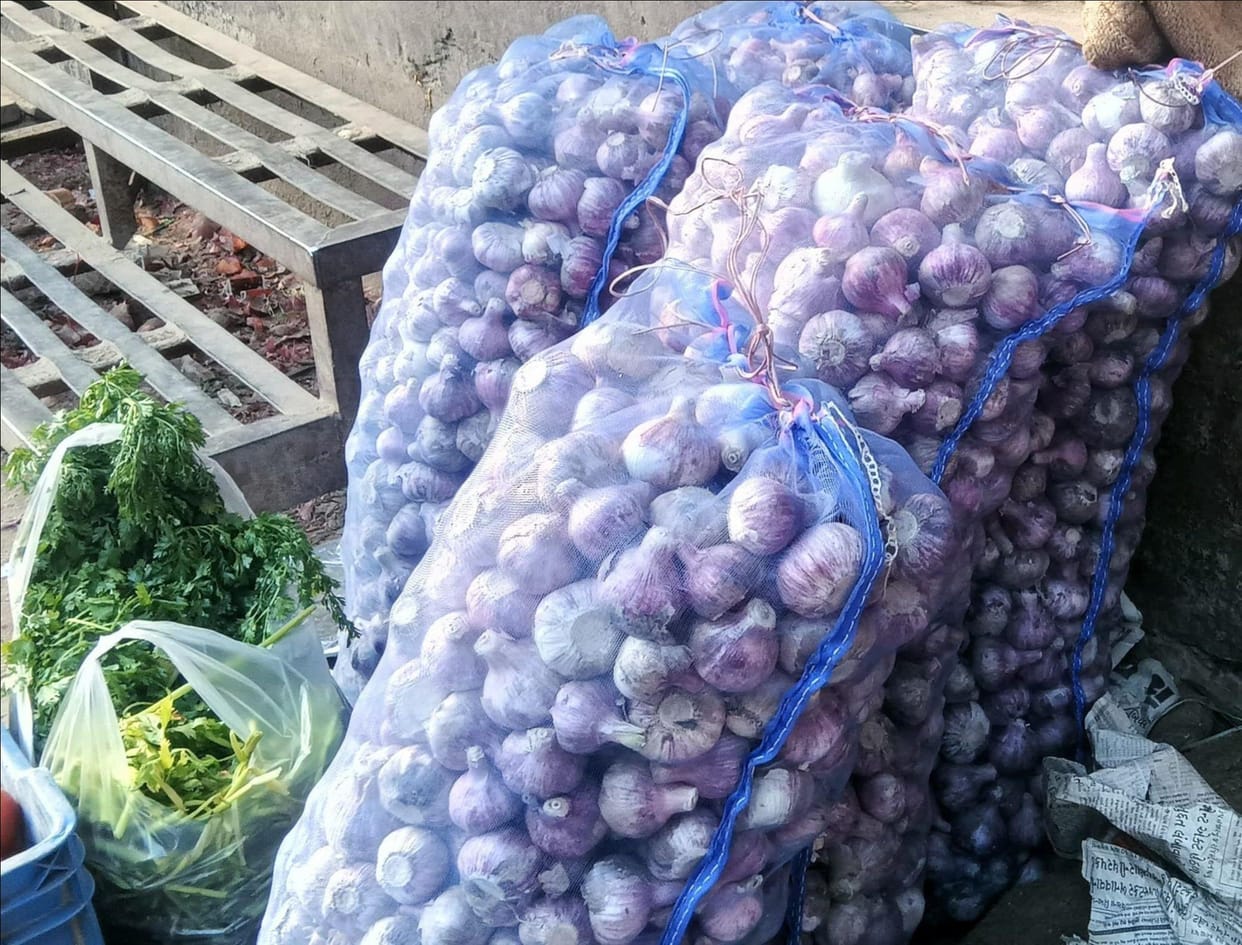 The First Consignment Of Garlic Arrived At The Solan Vegetable Market ...