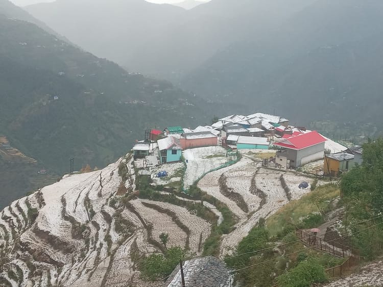 Fields Were Covered In Hail, Apple And Apricot Fruits Fell From The ...