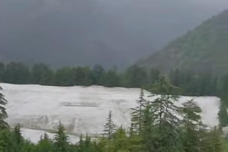 Crops And Vegetables Destroyed By Hailstorm - Kullu News - Kullu News ...