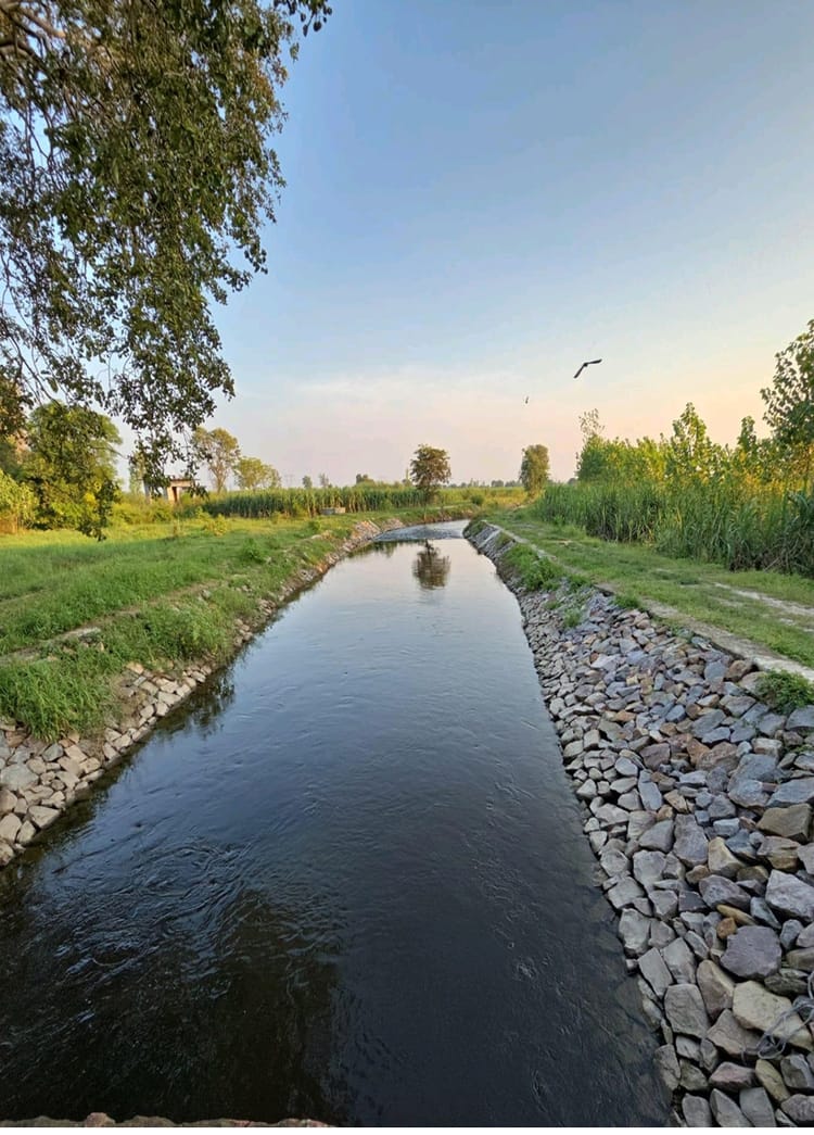 The Kali River Will Flow Ceaselessly, And The Khatauli Drain Will ...