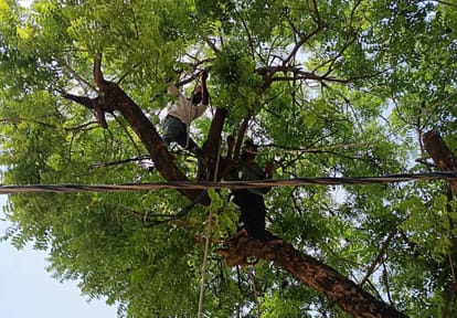 Storm Knocks Out Two Substations; Power Cut In 100 Villages - Sultanpur ...