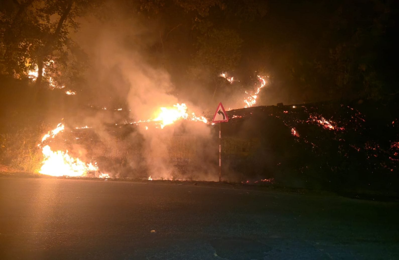 Fire In Jungle News Agriculture Colony - Sirmour News - Sirmour News ...
