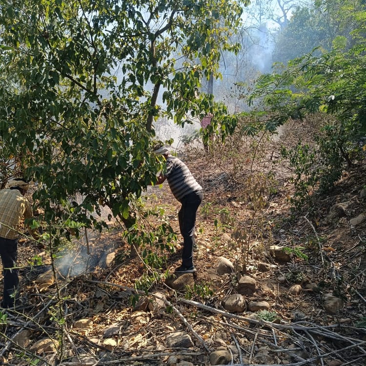 Fire In Khanni Beet Forest Brought Under Control - Kangra News - Kangra ...
