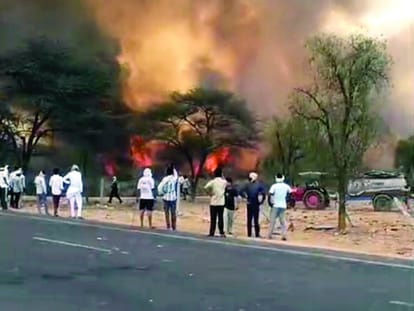 Hanumangarh: Massive Fire In Kohla Farm Protected Forest ...