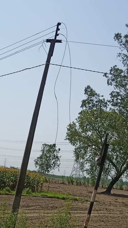 Storm Uproots 110 Trees; Power Supply Disrupted As 21 Poles Snap ...