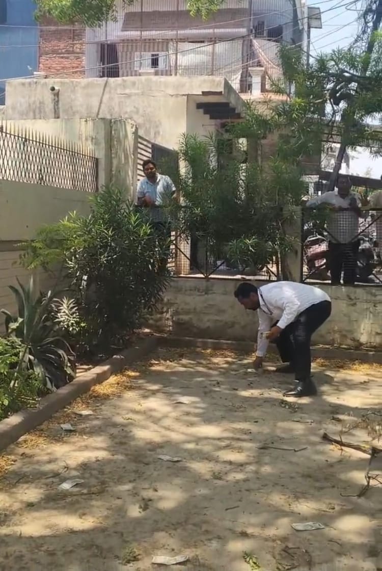Monkey Showered Two Lakh Rupees From A Tree, People Ran To Collect It ...