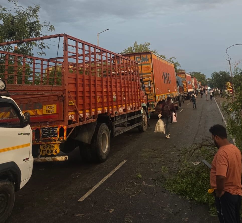 Trees And Poles Fell Due To Storm And Rain, Power Supply Disrupted ...