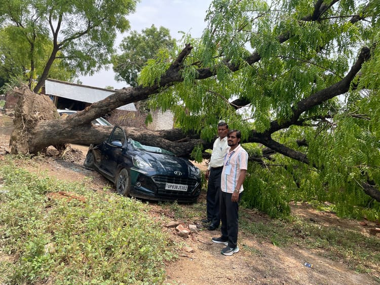 Tree Falls On Car, Tin Shed Blows Away - Etawah News - Etawah News:कार ...