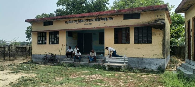 Animal Hospital Found Locked, Cattle Farmers Returned With The Pain Of ...
