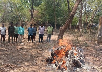 4 Year Old Chital Died After Being Attacked By Stray Dogs In Korba ...