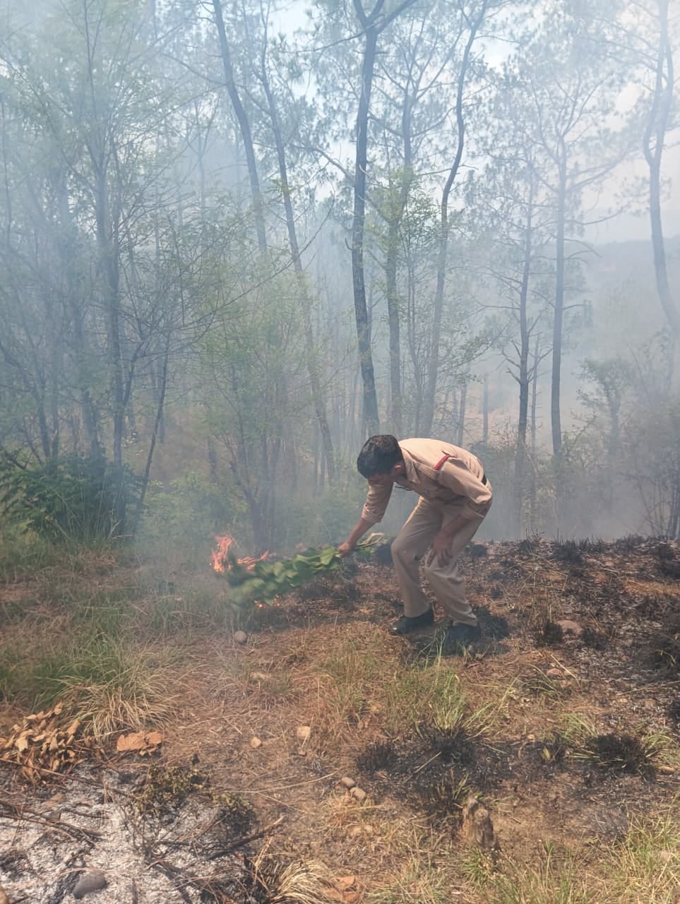 A Fire Broke Out In The Dugiyar Forest, And Villagers And The Fire ...