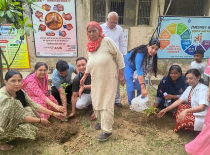 Emphasis Was Placed On Tree Protection In Chc, Pledge Was Taken To ...