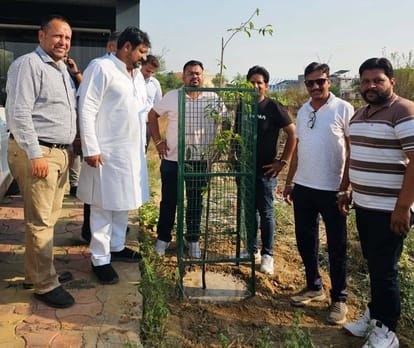 Agrawal Panchayat Launched A Tree Plantation Drive In Dharamshala And ...