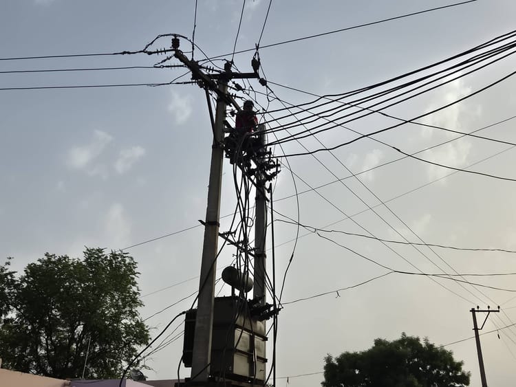 600 Trees And 160 Electricity Poles Fell; The Collapse Of Seven ...