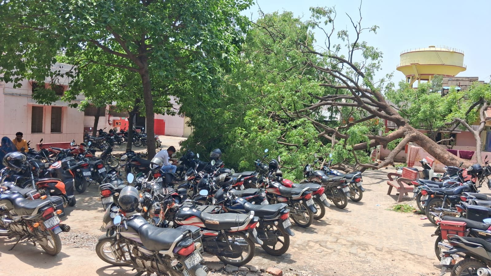 Power Supply Disrupted By Storm And Rain; Trees And Poles Toppled ...