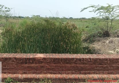 Siyari, Dhupkari, And Chhuiya Drains Have Been Choked With Filth For ...