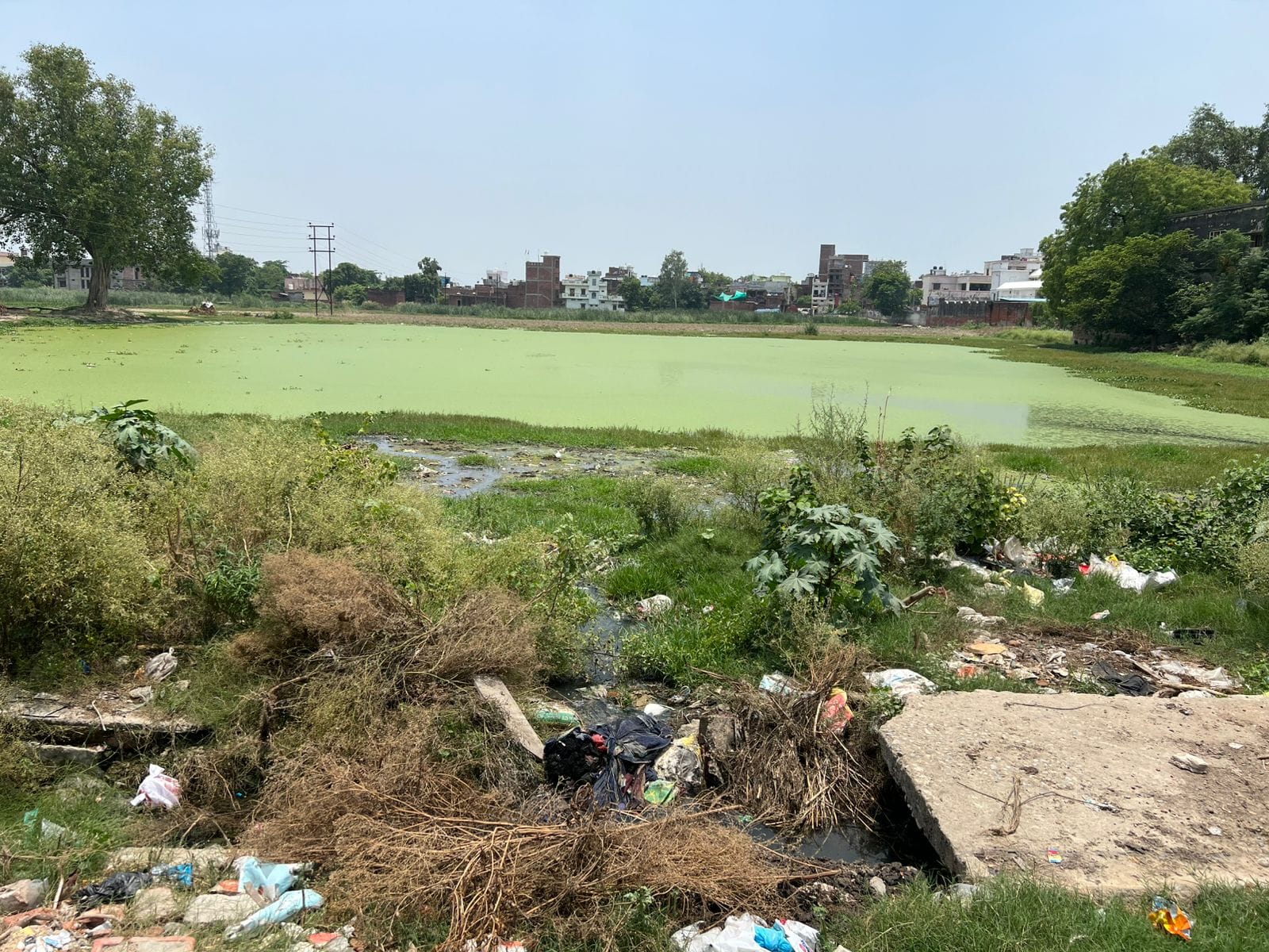 Pond In A Dilapidated State; Cleaned Only Once A Year For Chhath Puja ...