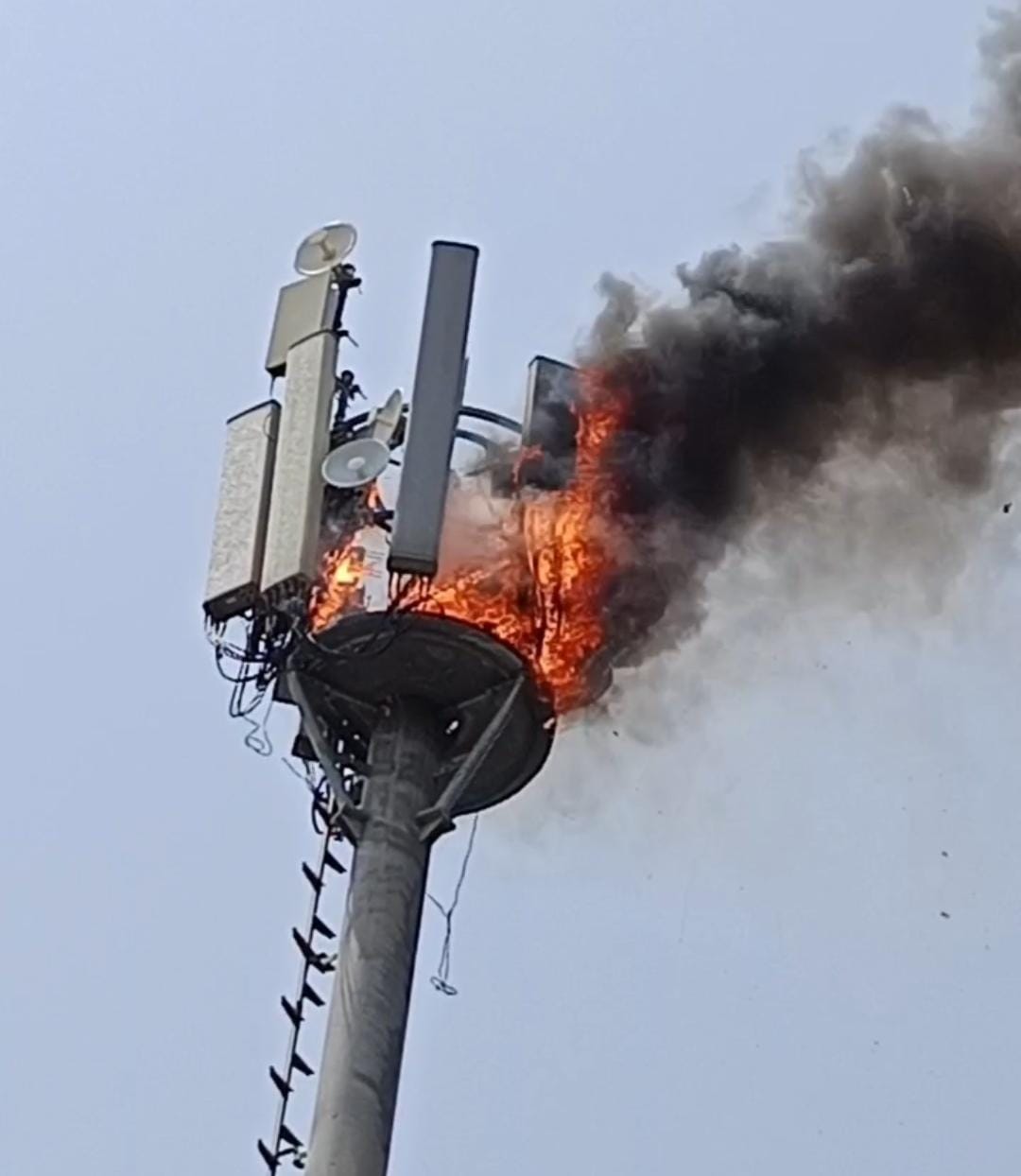 Jio Tower Catches Fire Due To Short Circuit, Equipment Gutted - Lucknow ...