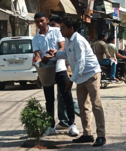 Protest Staged By Planting A Sapling On A Damaged Road. - Meerut News ...