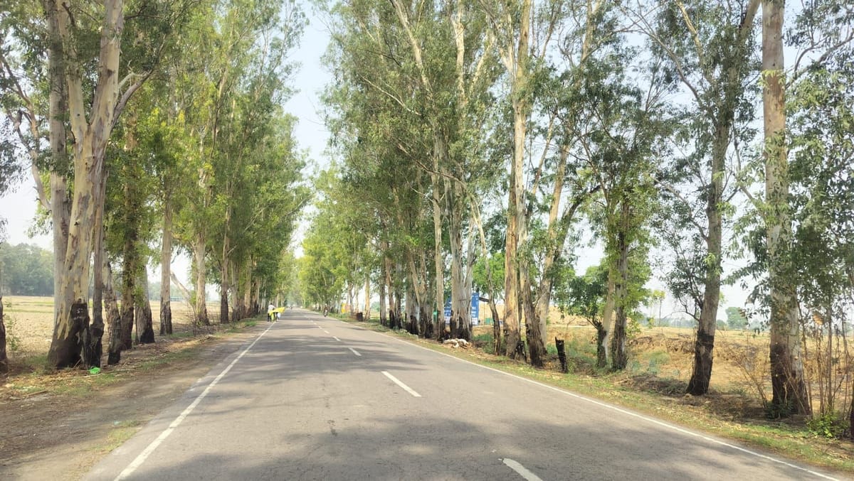 The Important Project Of Jind-safidon Highway Widening Has Been Pending ...