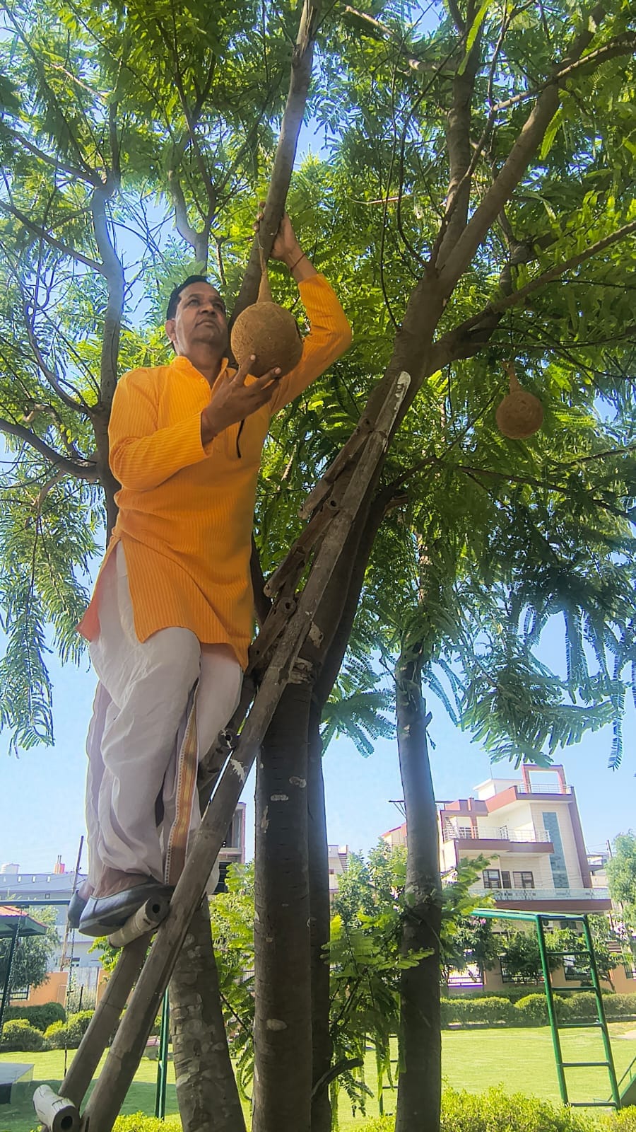 Nests Were Built On Trees To Provide Shelter For Animals. - Sonipat ...