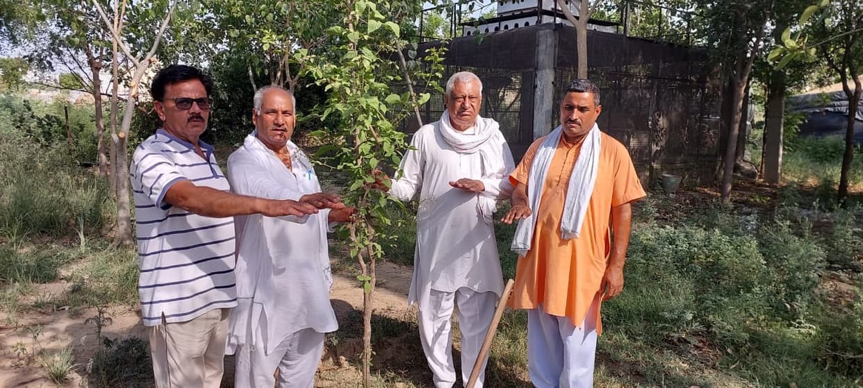 Pledge To Protect The Environment On World Rainforest Day - Sonipat ...